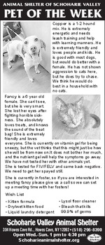 Pennysaver/My Shopper Online | NY Pennysaver Classifieds