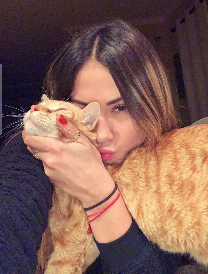 Pennysaver Online | NY Pennysaver Classifieds